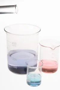 Насінний горбок | yak.koshachek.com